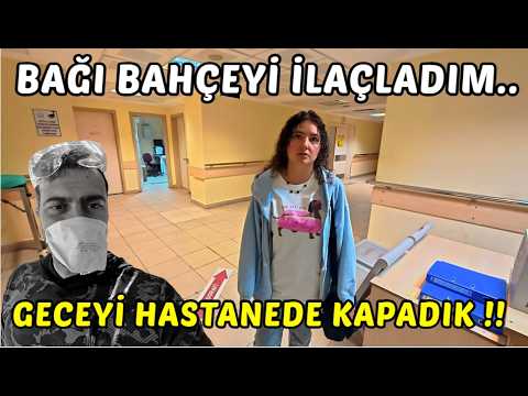 BAĞI BAHÇEYİ CEVİZLERİ İLAÇLADIM GECEYİ HASTANEDE KAPADIK ?