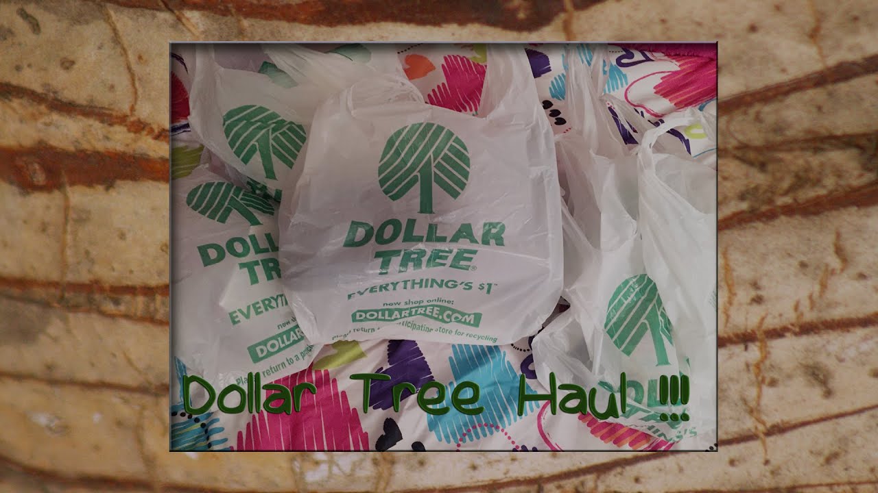 Small Dollar Tree Haul - YouTube