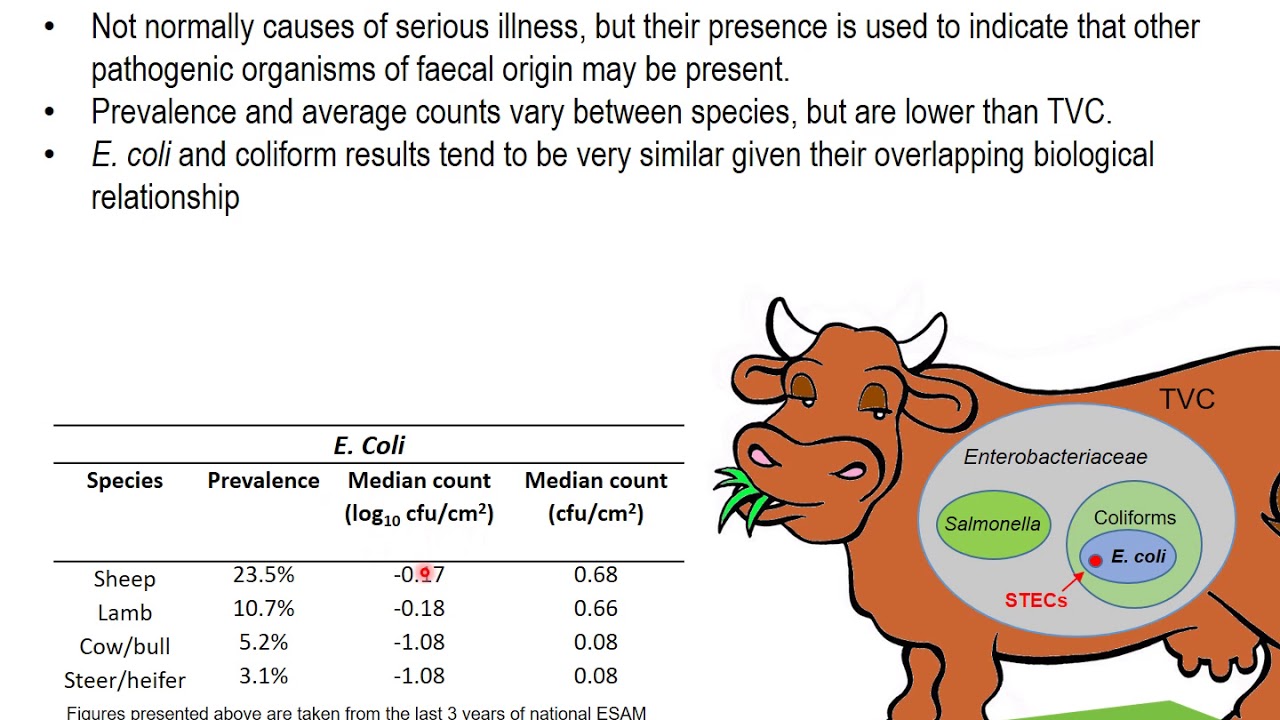 Interpreting ESAM reports - YouTube