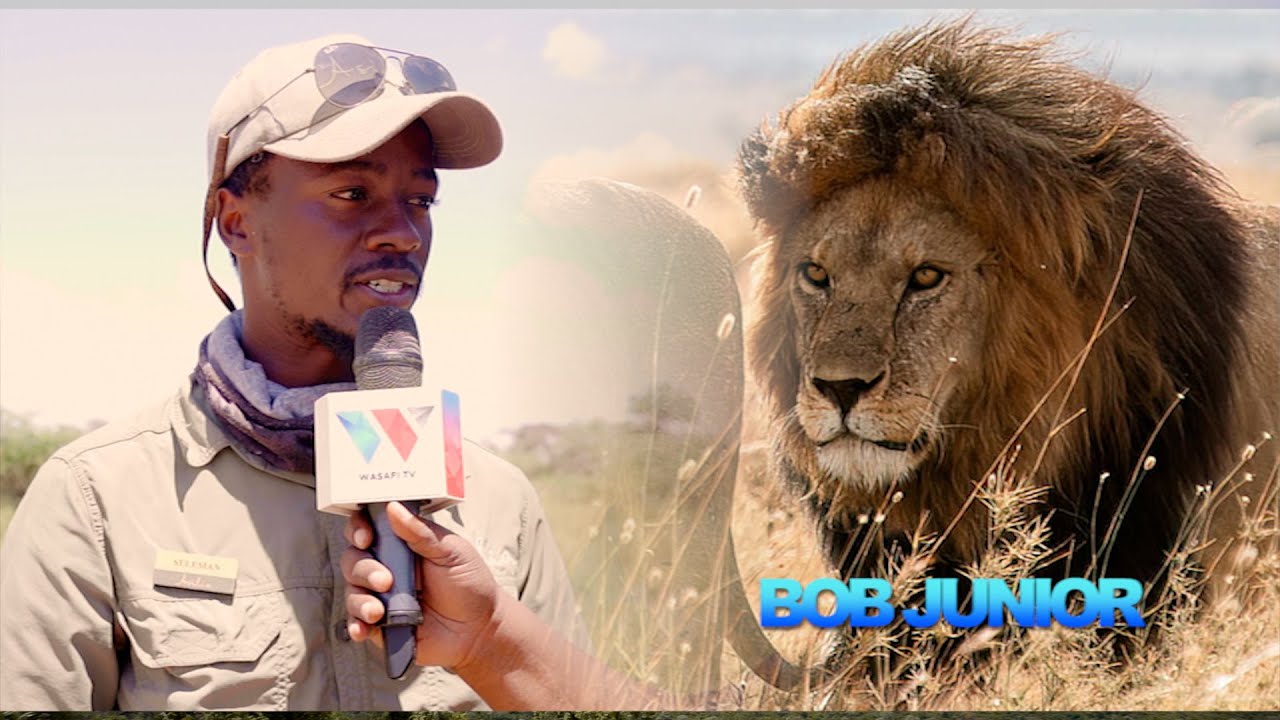 PART ONE: VILIO KIFO CHA SIMBA BOB JUNIOR/SERENGETI WAMLILIA/ALIKUA ...