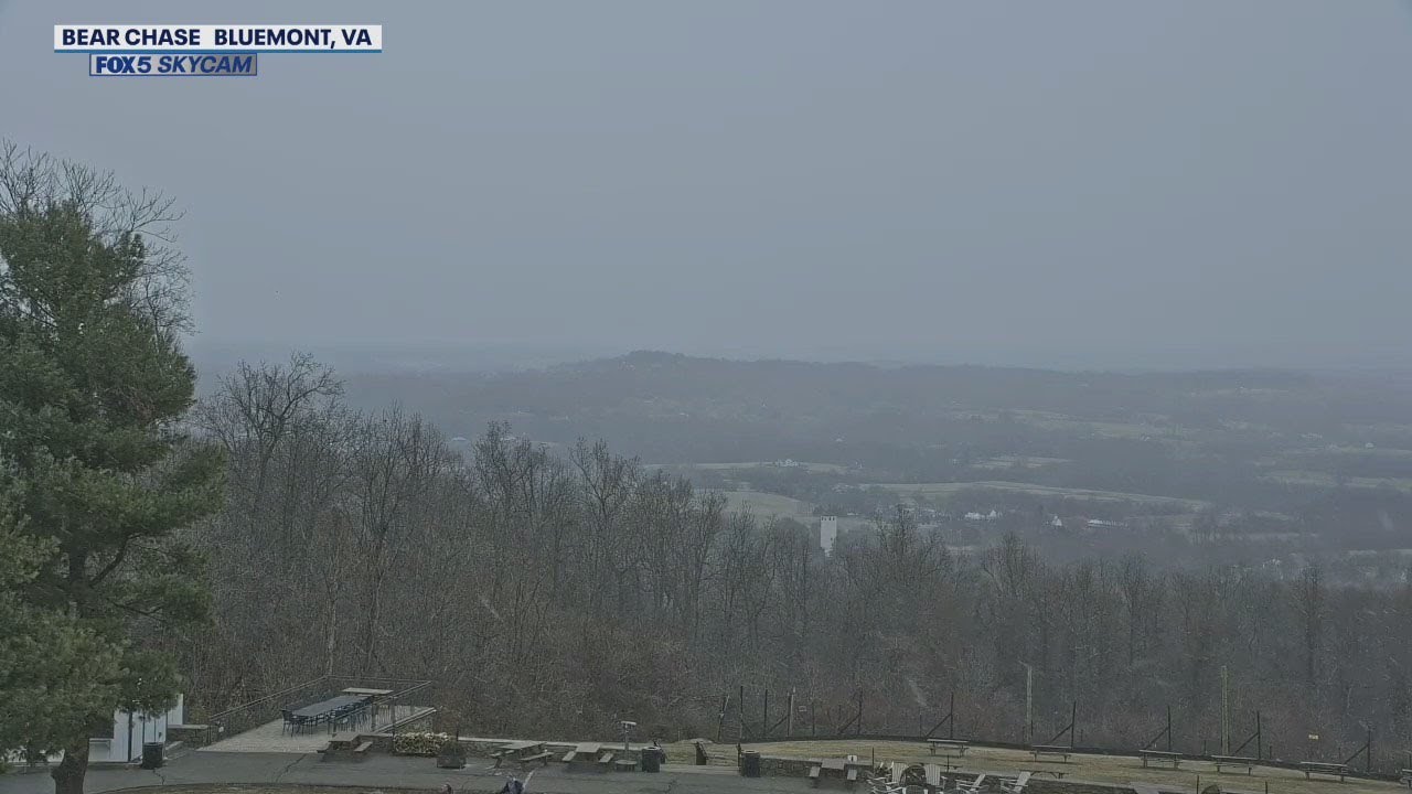 SNOWFLAKES FALL IN VIRGINIA! ️ ️ ️ - YouTube