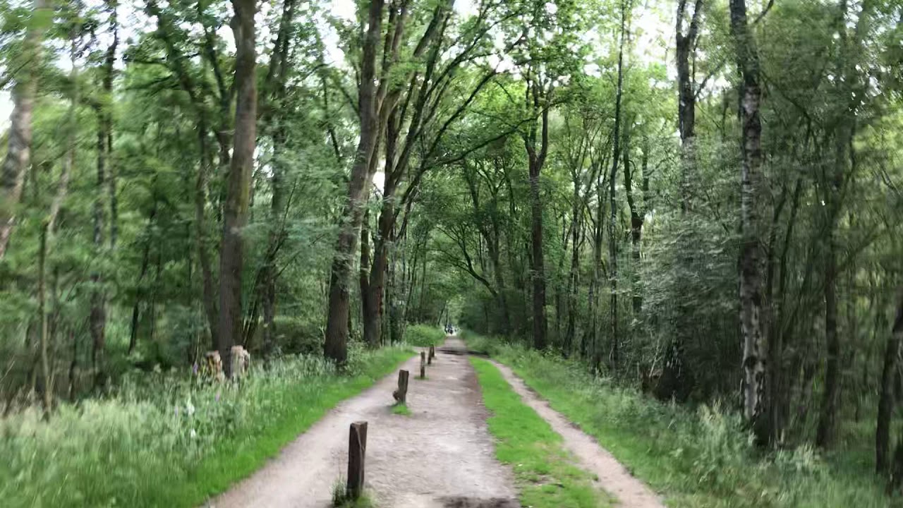 One day Sinjary 🧤يوميات واحدسنجاري - YouTube