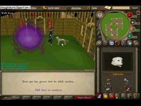 My runescape puppy becomes a dog - YouTube