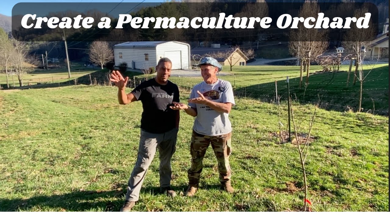 Create/Fix A Permaculture Orchard with Perma Pastures Farm! - YouTube