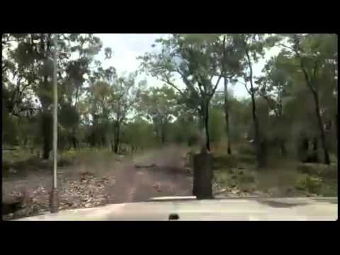 Thamarrurr Rangers 2013 - YouTube