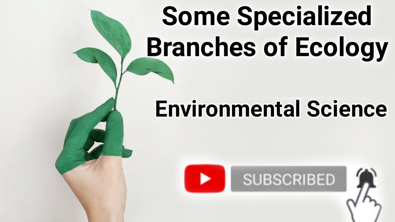 Specialized Branches of Ecology | Ecology | Environmental Science ...