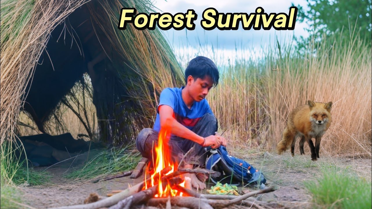 Solo building a house in the woods||alone living a night in forest # ...