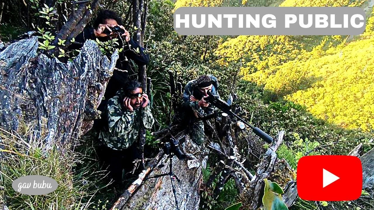 Hunting Nz Chasing Reds - YouTube