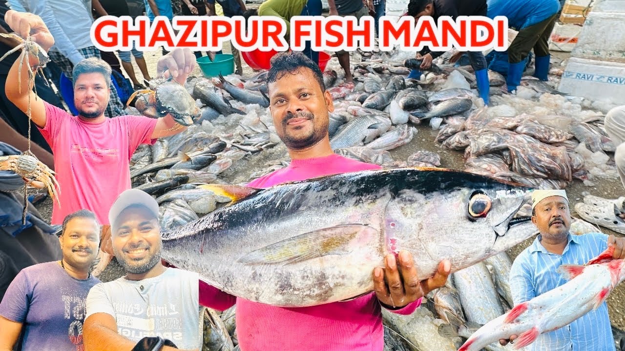 Ghazipur Fish Mandi Delhi Navratri Today Price 2025 ghazipur machli ...