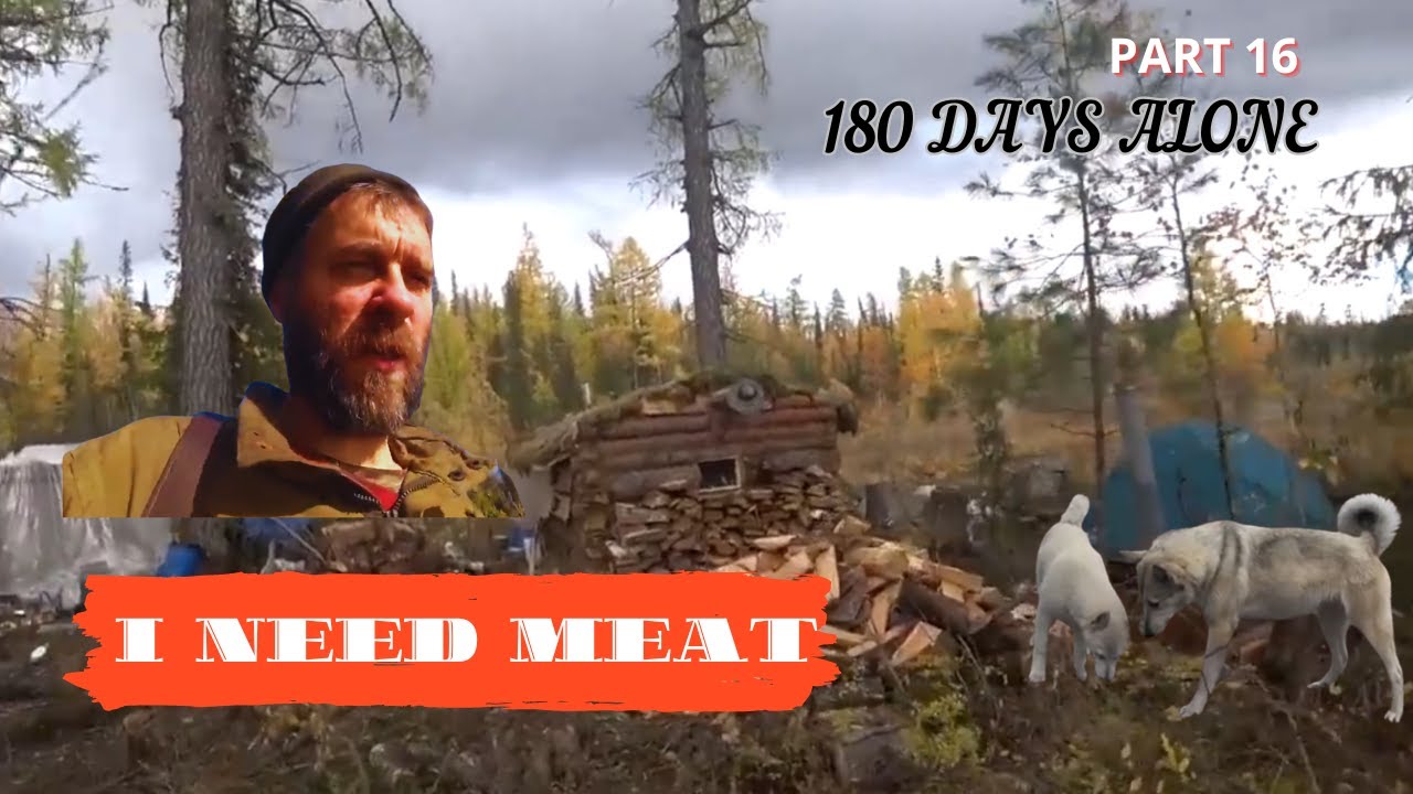 ALONE IN THE WILD TAIGA OF SIBERIA NATURAL DISASTER, FLOOD... - YouTube