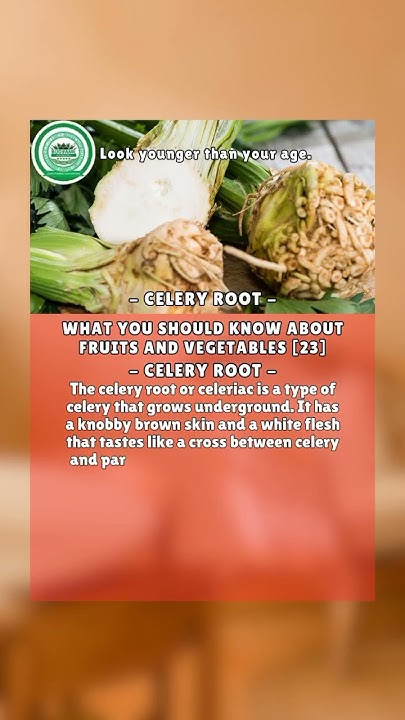 Celery root is rich in Vitamin C, Vitamin K and Phosphorus. Fruits and vegetables Part 23. # ...