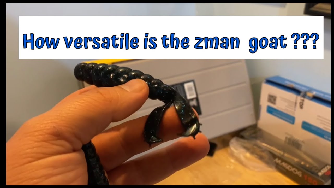 Putting Z Man - The Goat bait versatility to the Test - YouTube