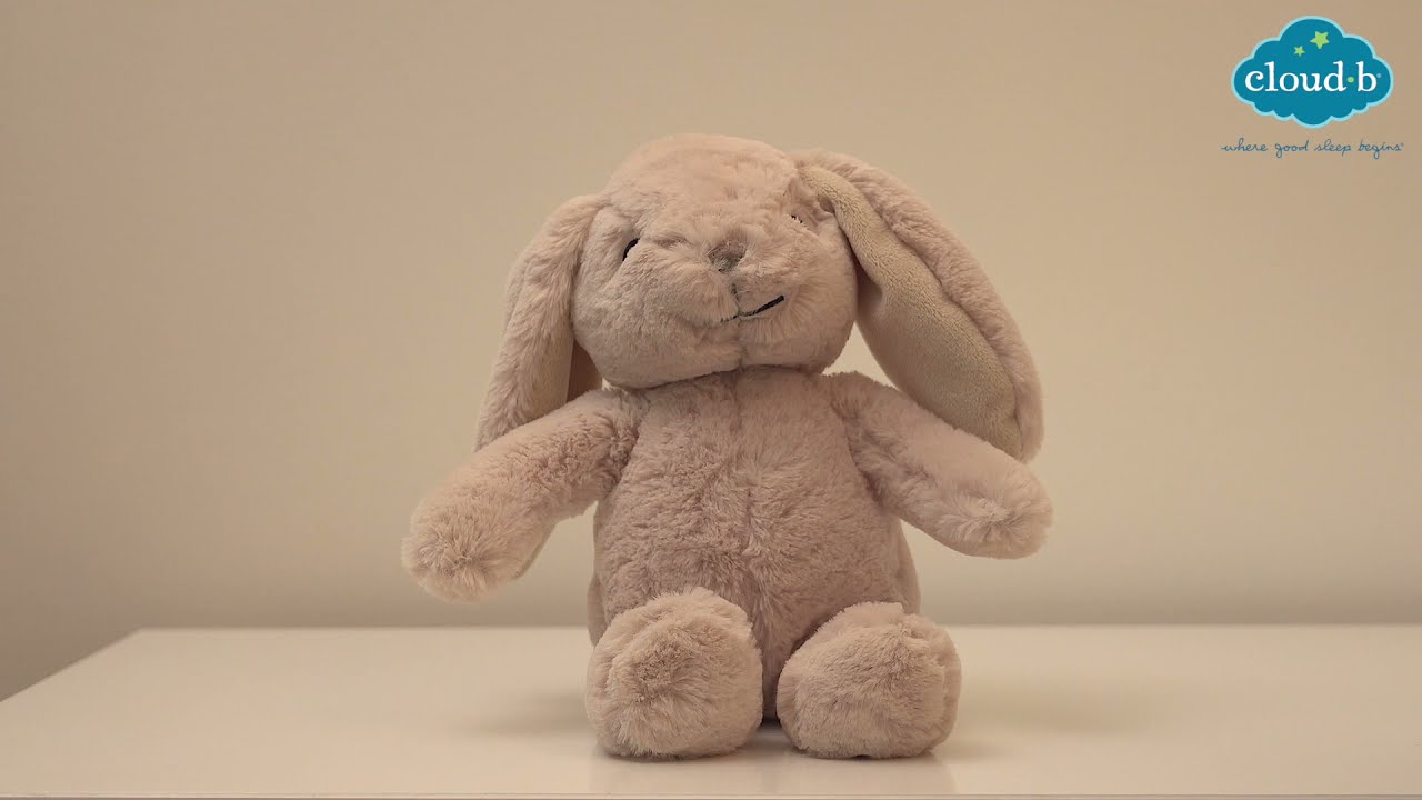 Bubbly Bunny 4sounds - cloud b - demo video - YouTube