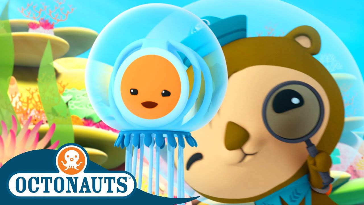 Octonauts Jellyfish Adventure at James Goldsbrough blog