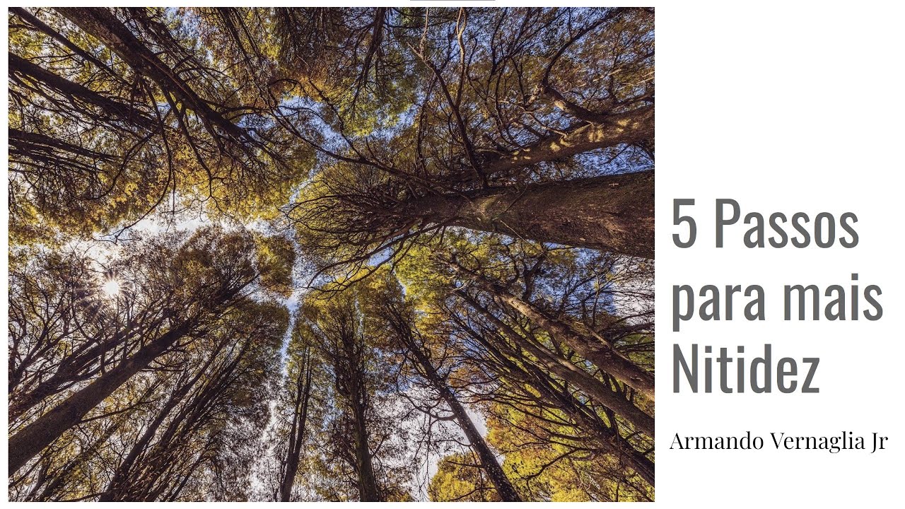 Cinco passos fundamentais para mais nitidez em suas fotos (e vídeos ...