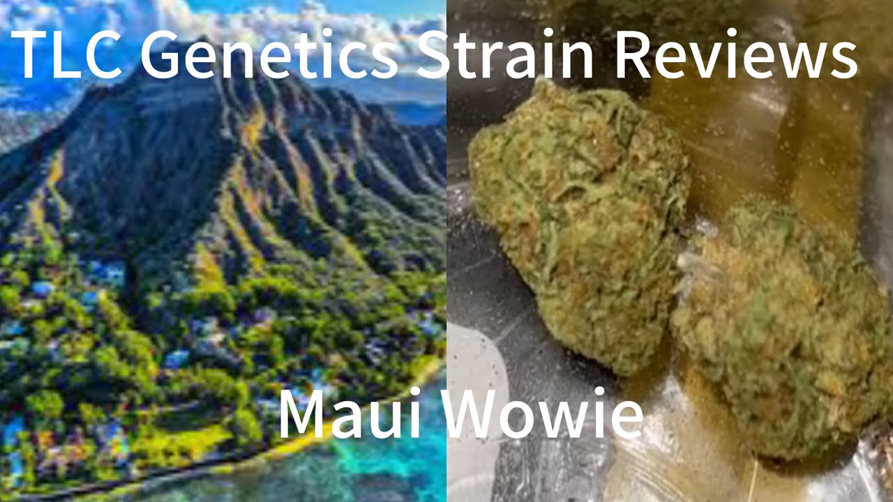 The TLC Genetic Show : Maui Wowie (Strain Review) - YouTube