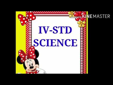 4th STD | SCIENCE | LESSON - DIGESTIVE SYSTEM - YouTube