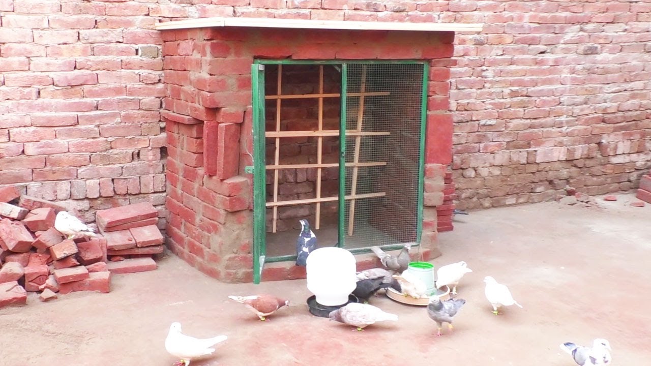 How to Construct the Pigeon Loft - YouTube
