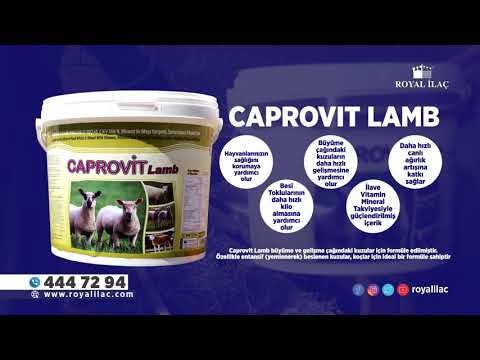 Kurbana Küçükbaş Toklu Besleyenler için Verim Arttırıcı Caprovit Lamb / Royal İlaç