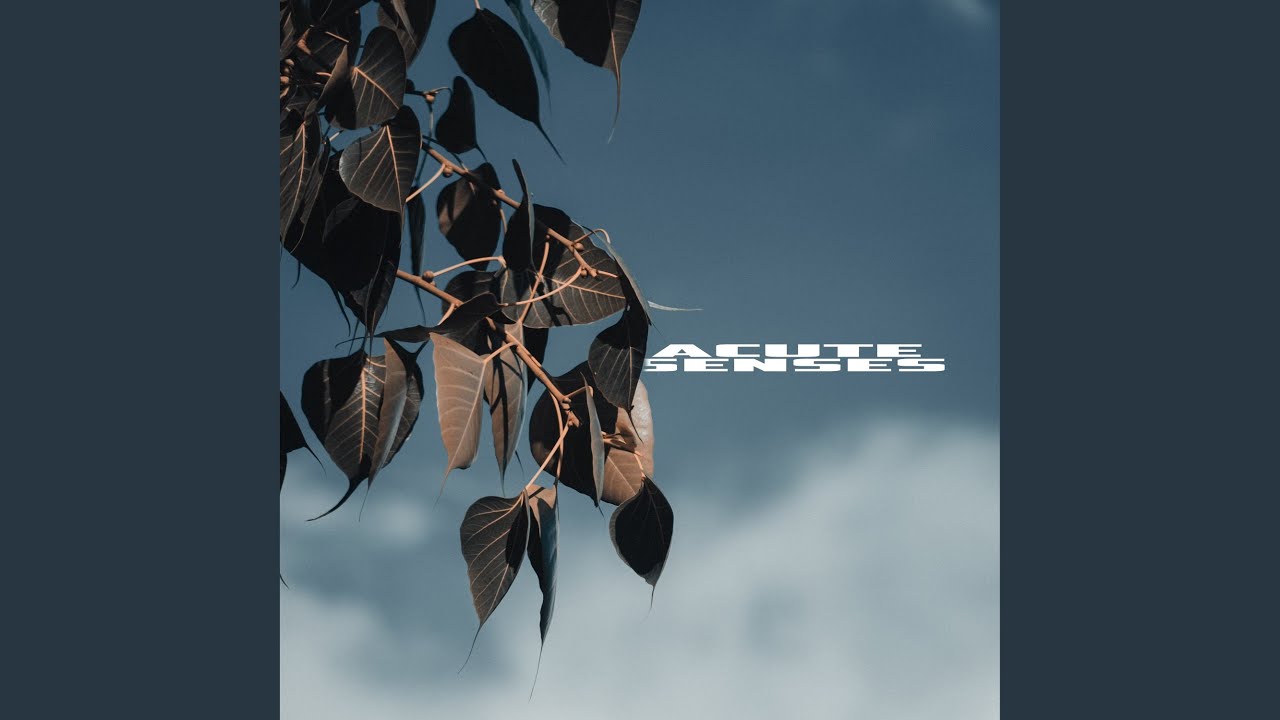 ACUTE SENSES - YouTube