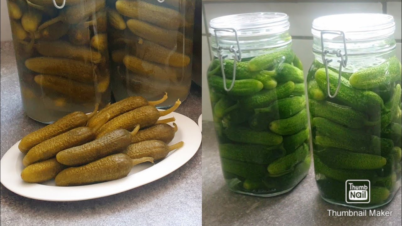 Die weltbesten saure Gurken| schmeckt Orginal wie auf Straßen in ...