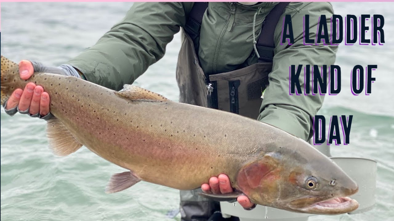 Fishing From Ladders! An All-Day Fish Fest - YouTube