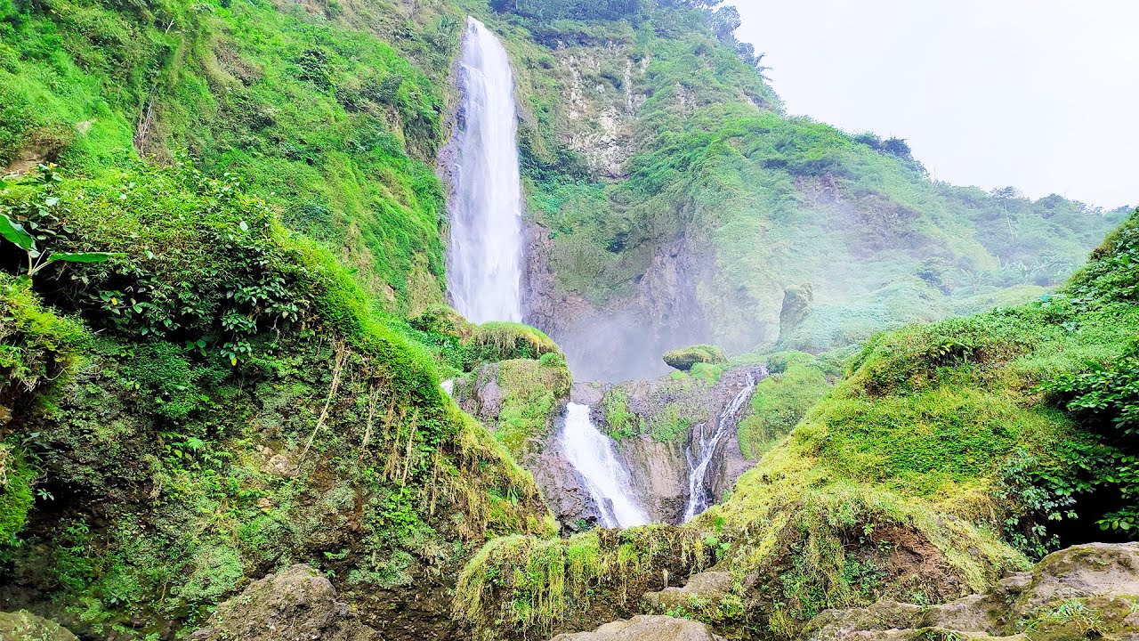 WATER FALLING in Green Nature - Sound of Waterfall 💦🌿 - YouTube