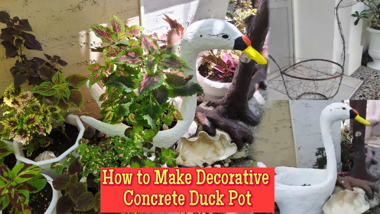 How to Make Decorative Concrete Duck Pot (Part 3) - Armand Gaspar - YouTube