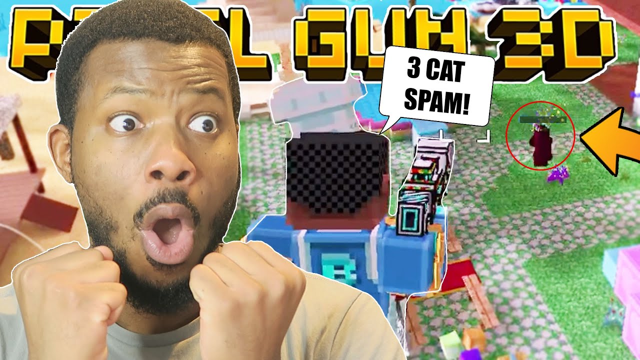 3RD PERSON 3 CAT SPAM! l Pixel Gun 3D - YouTube