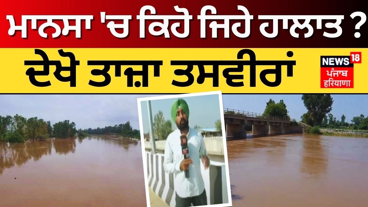 Mansa Flood Update | ਮਾਨਸਾ 'ਚ ਕਿਹੋ ਜਿਹੇ ਹਾਲਾਤ ? ਦੇਖੋ ਤਾਜ਼ਾ ਤਸਵੀਰਾਂ ...