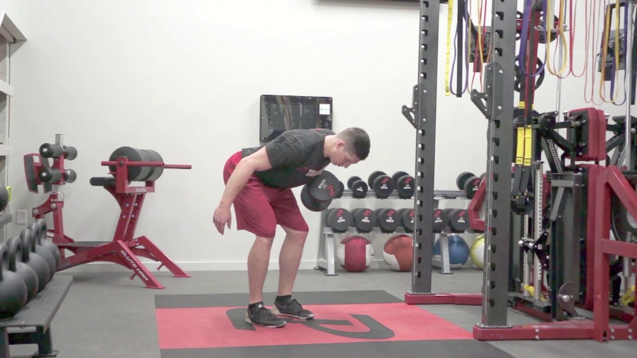 Single Arm DB Bent Over Row - YouTube