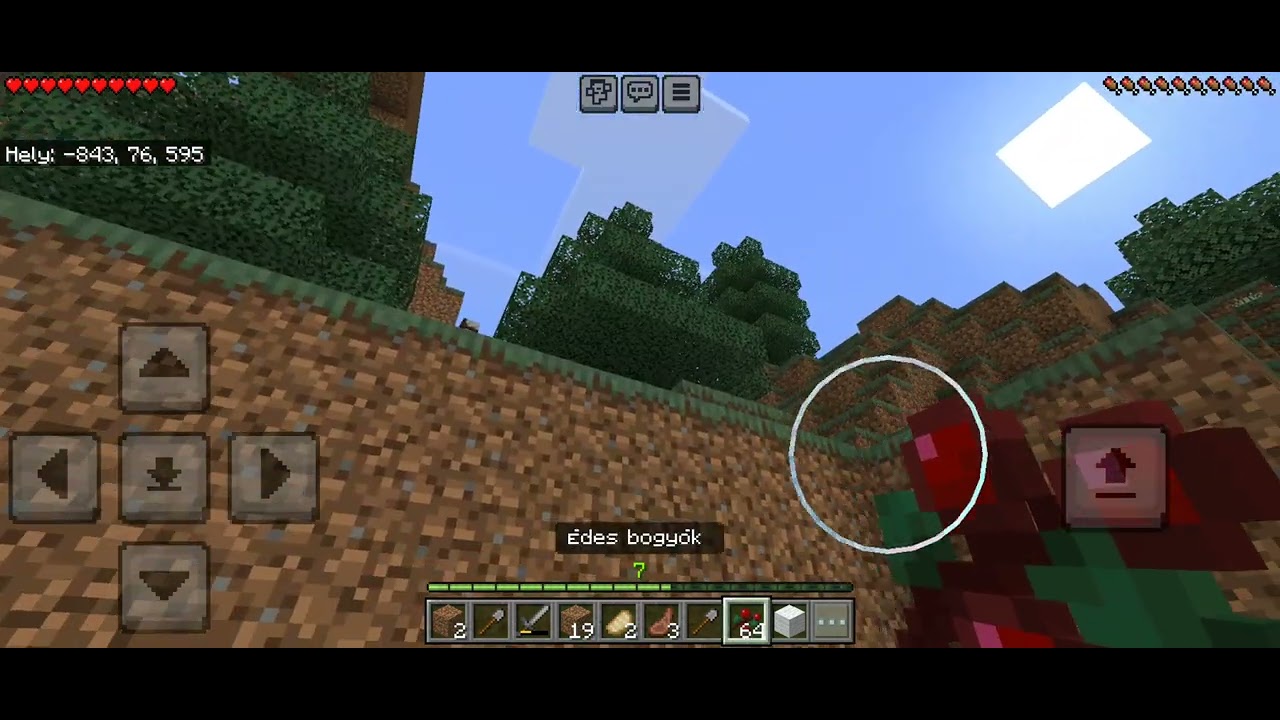 Minecraft 5 - YouTube