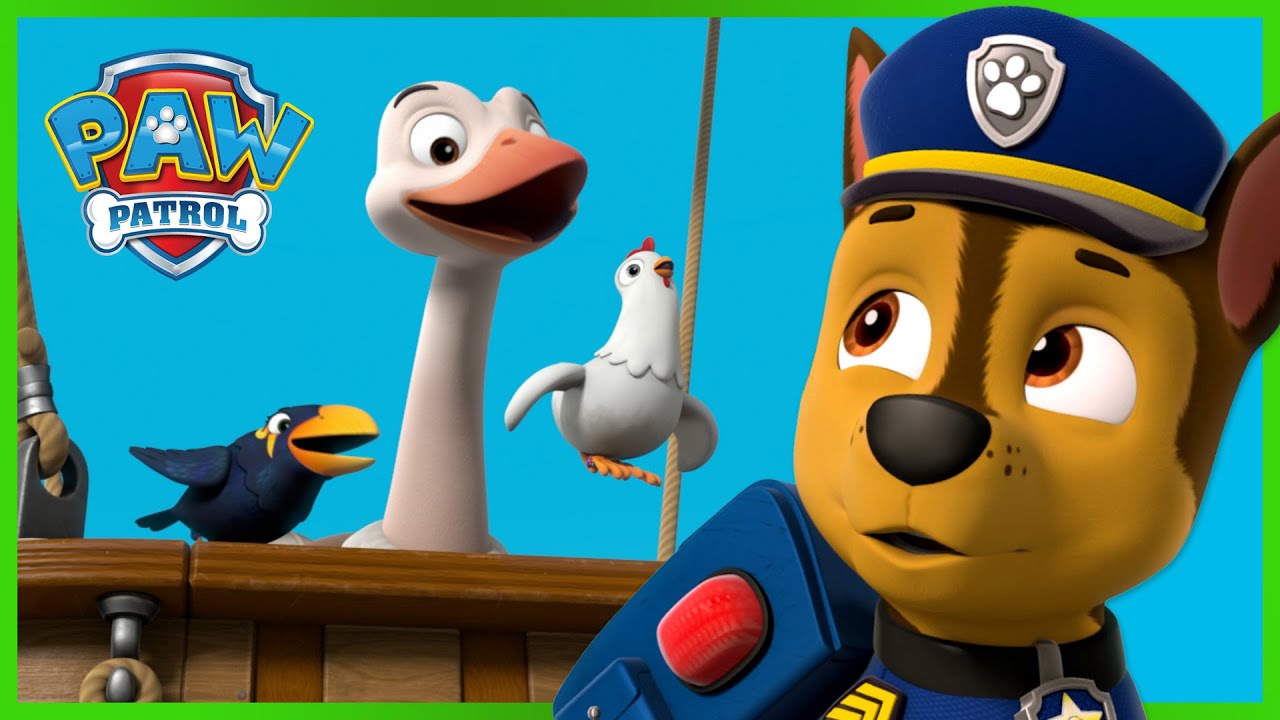 PAW Patrol stop Sid the Pirate, Rescue Birds, and more! - PAW Patrol ...