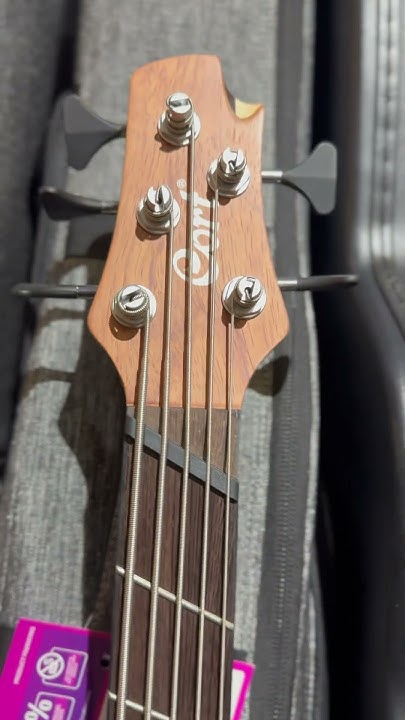 Cort A5 Plus FMMH 5-String Bass Guitar Rosewood Fretboard With Bag - Open Pore Black Cherry ...