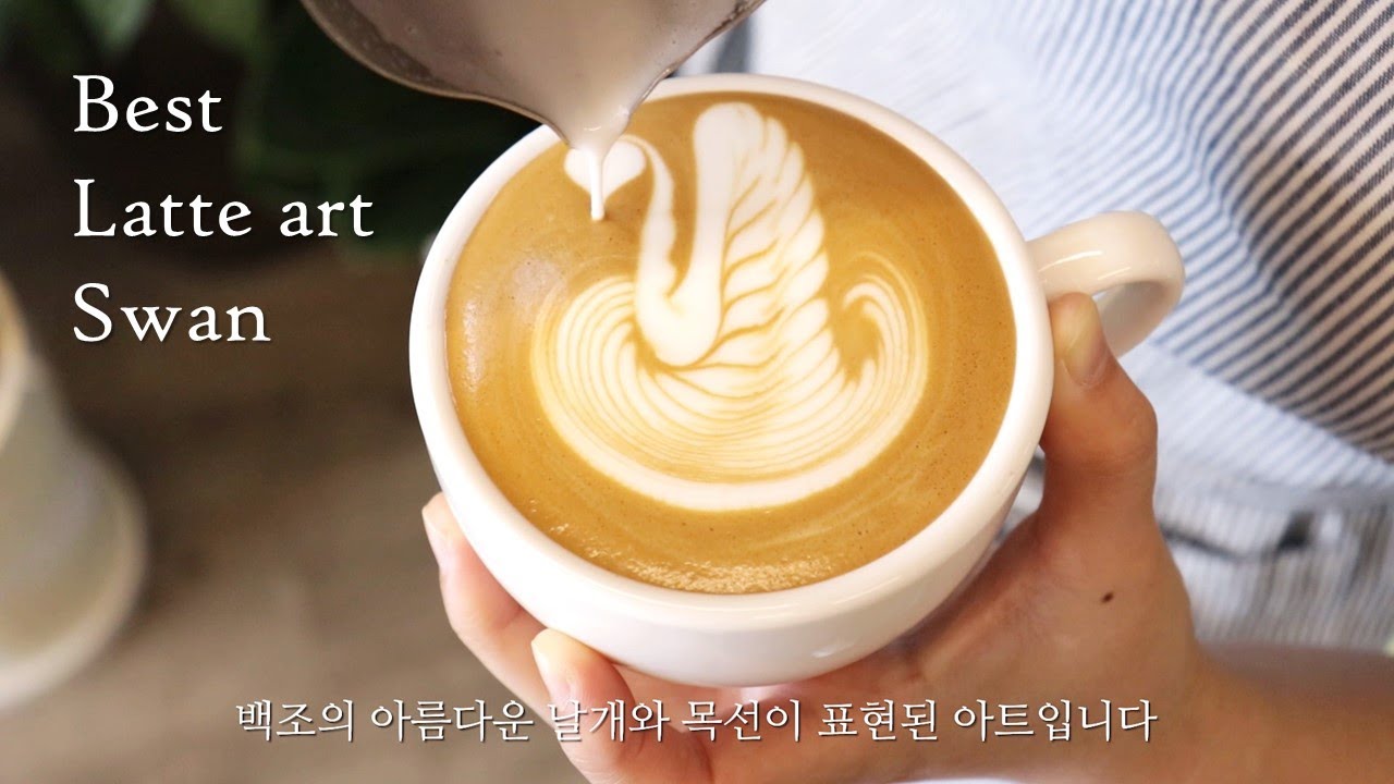 Eng 꿀팁 백조 패턴 라떼아트 3가지 기본부터 응용까지~ Latte Art 3 Designs Swan Cafe Vlog Youtube