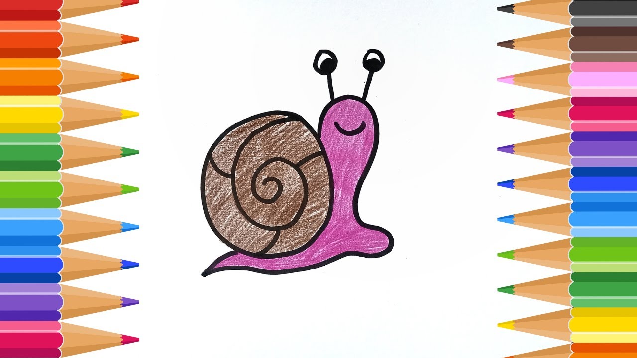 How to draw snale | Easy Snale Drawing #kidslearning #kidsdrawing - YouTube