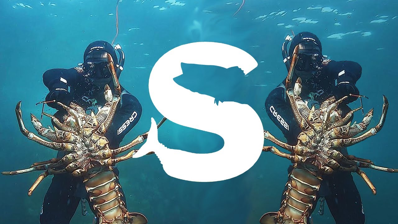 Australian Southern Bluefin Tuna Record! - YouTube