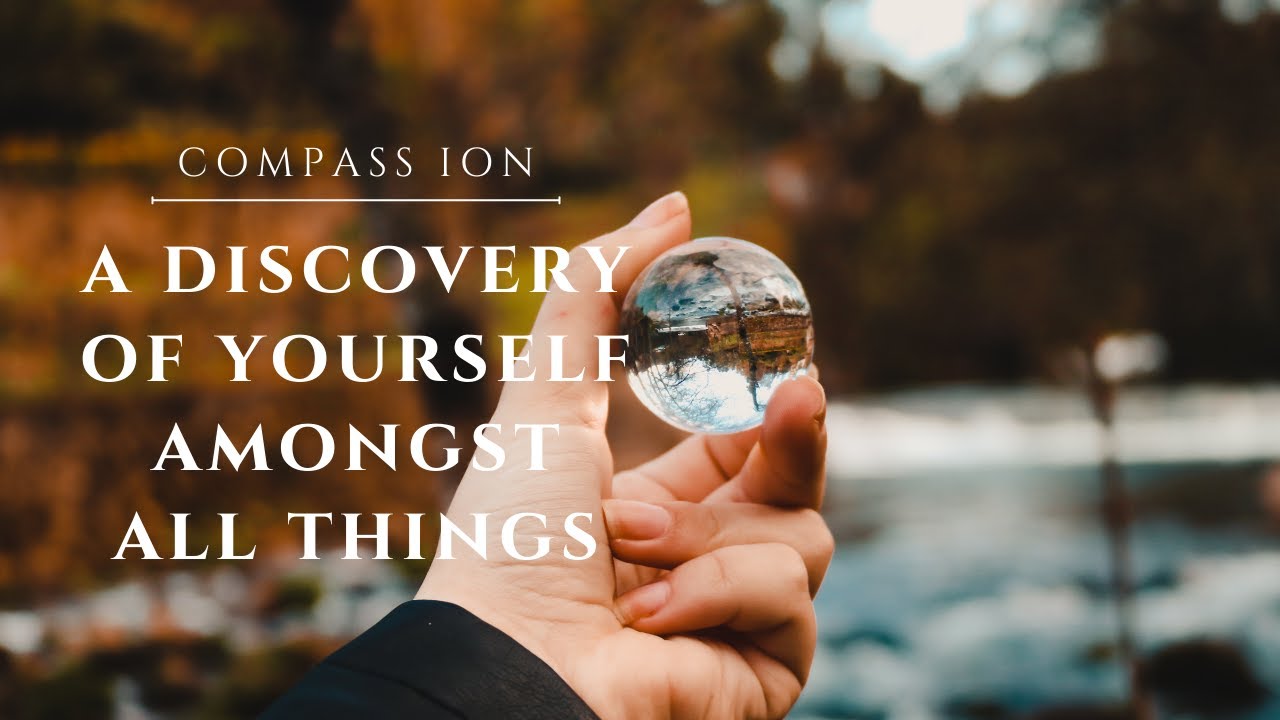 Compass Ion - Consciousness Amongst All Things - YouTube