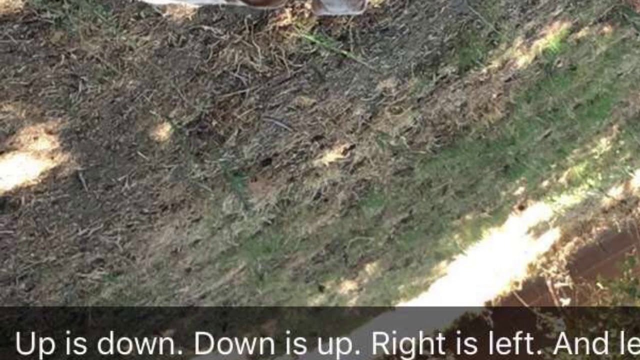 Mr. Vaca Official Monkey Business - Side a Throw Away - YouTube