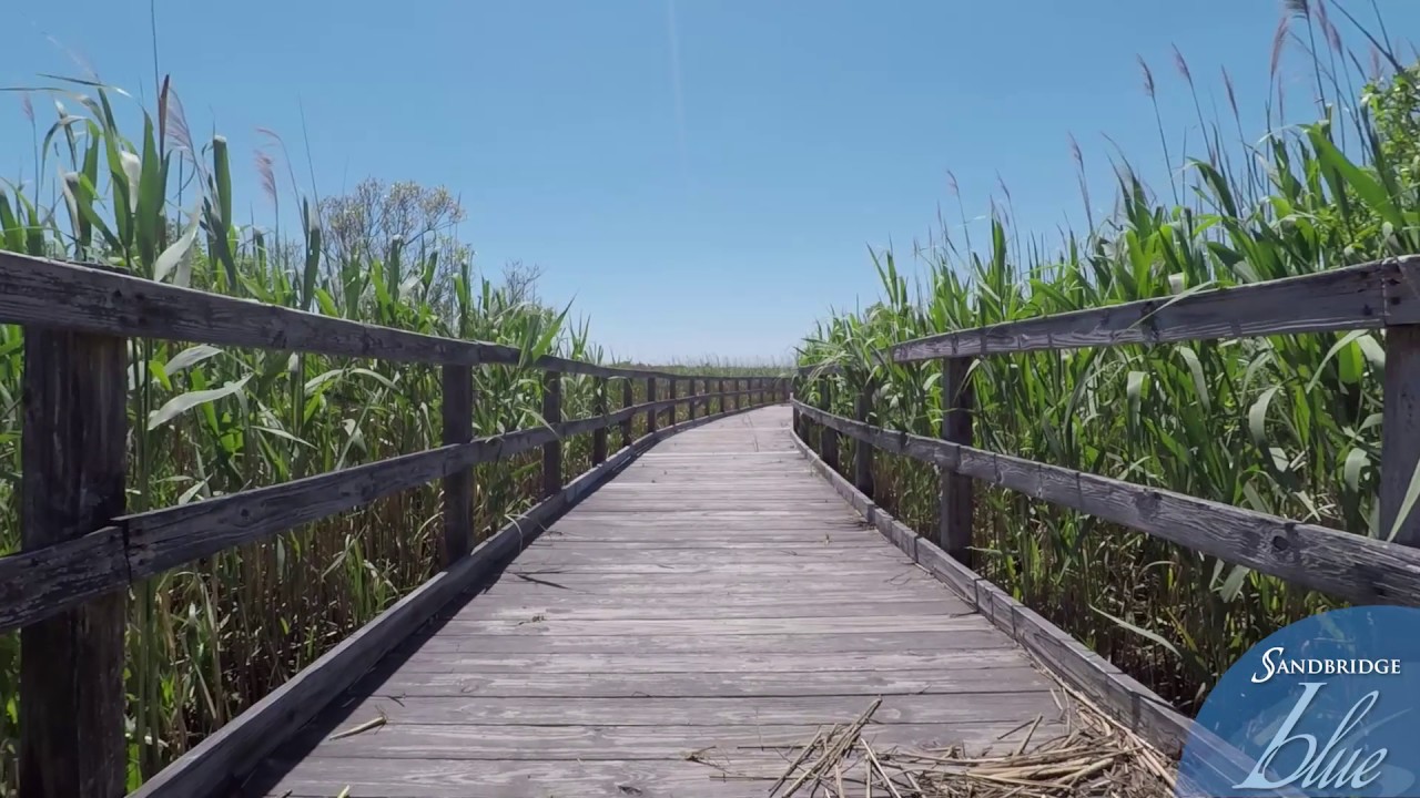 Your View of Sandbridge Beach: A day at Back Bay - YouTube