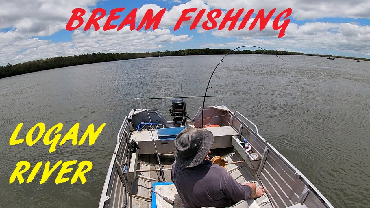LOGAN RIVER FISHING 8TH DEC 2023 - YouTube