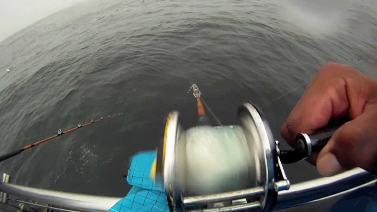 Rock Cod Fishing at the Farallons - YouTube