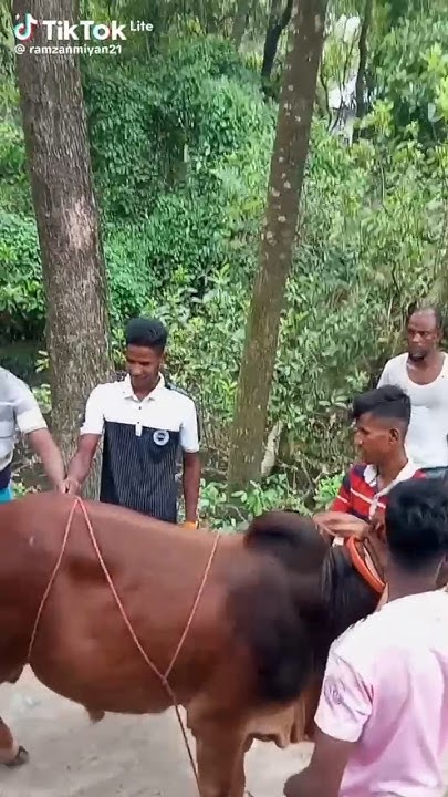 June 21, 2024 - YouTube