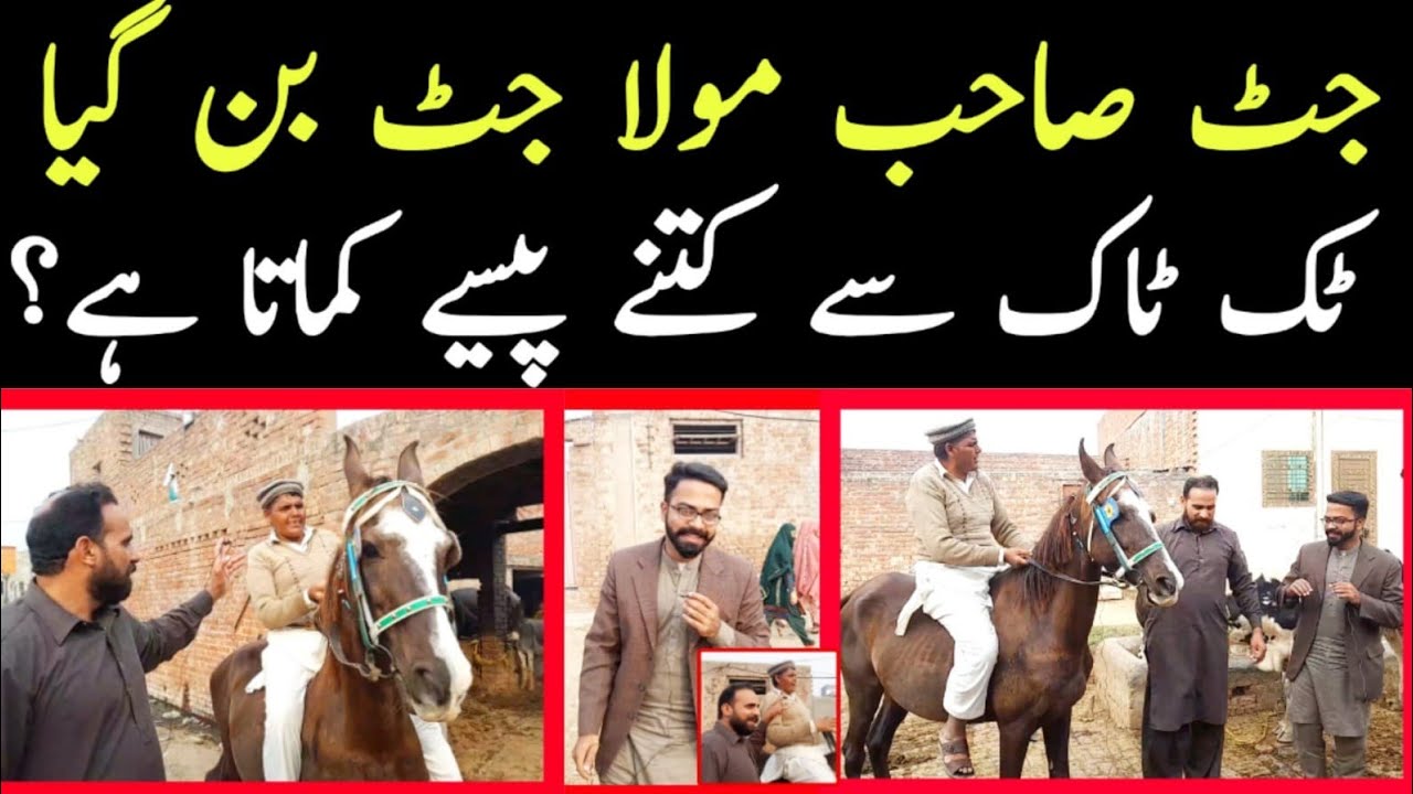 Shahbaz Jutt interview || Jutt Sab mola Jutt ban gya || Jutt Sab ...