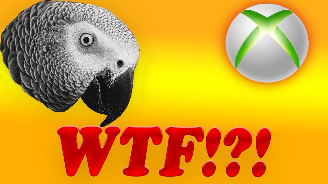 AFRICAN GREY PARROT TALKING + XBOX SOUND EFFECTS !!! - YouTube