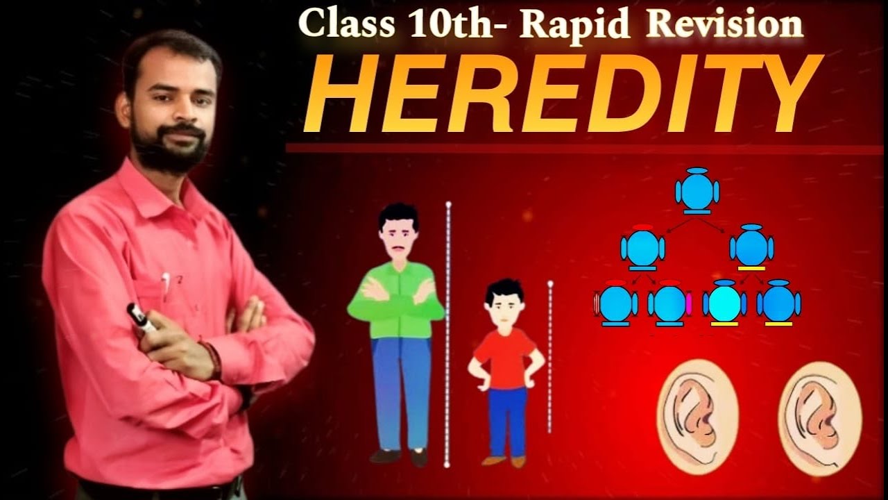 Heredity class 10 rapid revision, NCERT questions, One shot , Important ...