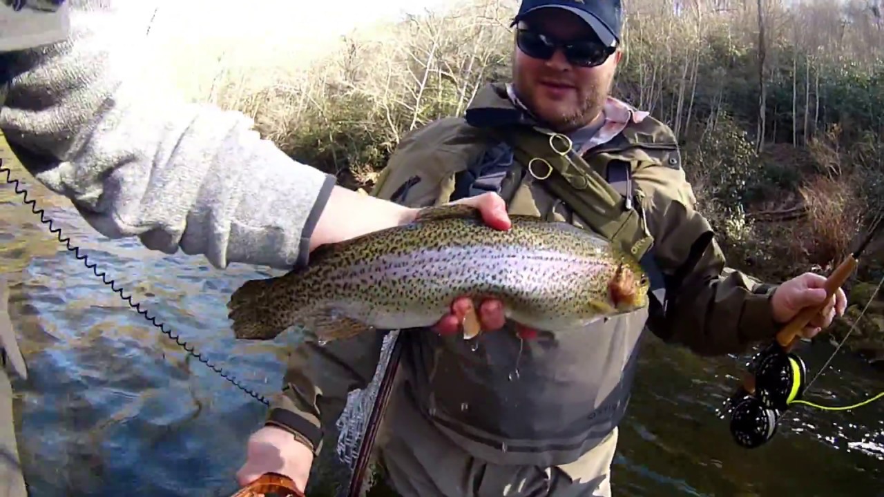 Fly Fishing Cherokee, Raven Fork 2017 - YouTube