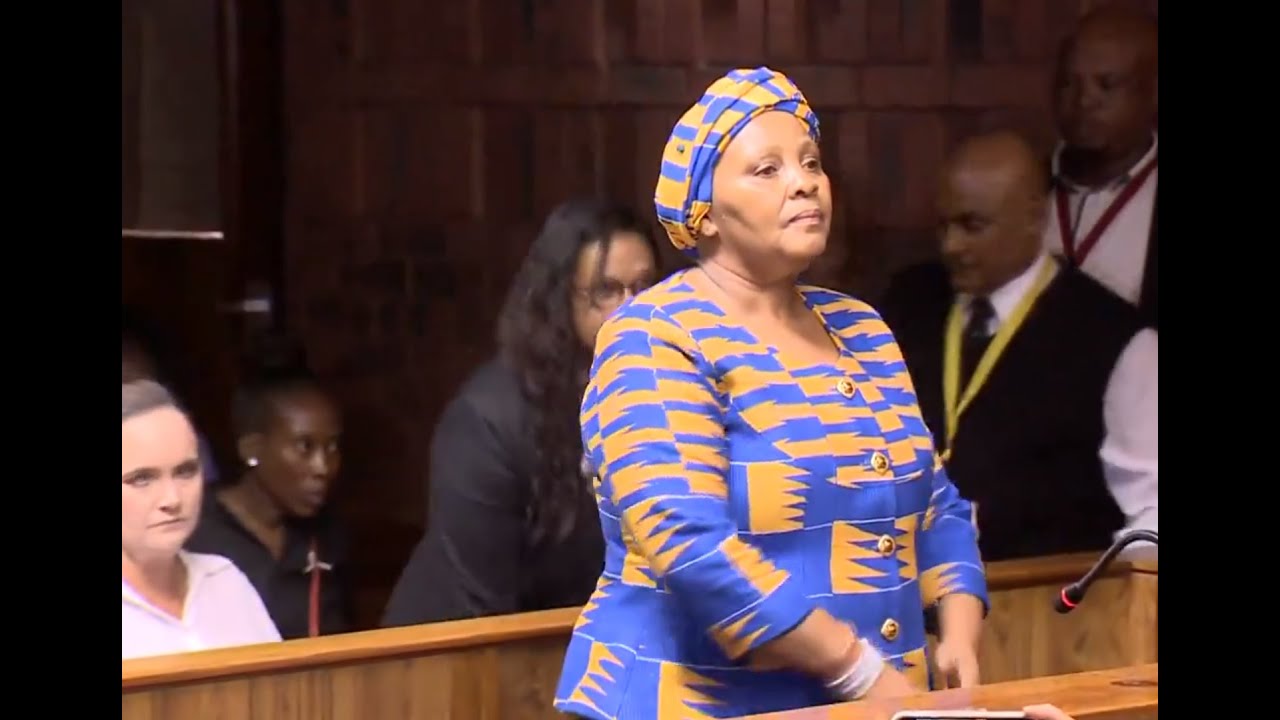 Nosiviwe Mapisa Nqakula in Court. Passing Snake & Pemmy Majodina ...