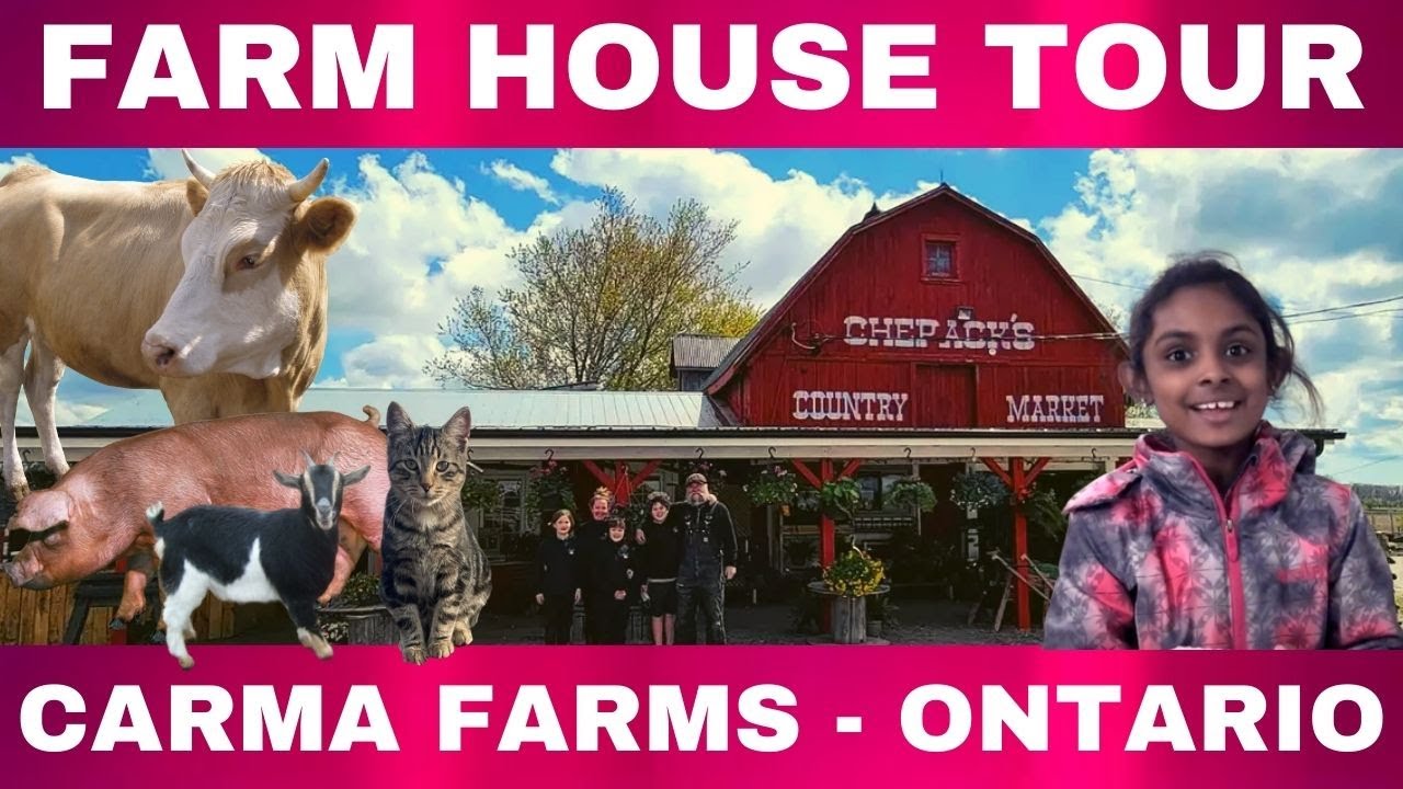 Best Farm To Visit with Kids in Toronto, Ontario || Family Fun Farm ...