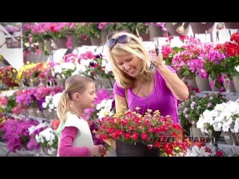 Mills Fleet Farm Garden Center - YouTube